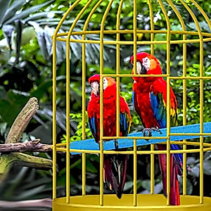 BESTWD Bird Perchs Bird Stand Toy Bird Cage Accessories Natural Colorful Wood Perch Platform Paw Grinding Stick 4-Piece Set for Parakeets