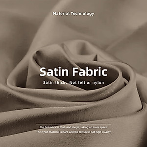 DGAZ Purse Organizer Silky Smooth,Silk,Luxury Handbag Tote in Bag Shapers, Women- Fits Birkin25/30/35/40 Bags (Etoupe grey, BK25)