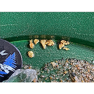 Klesh Gold Beginner Paydirt