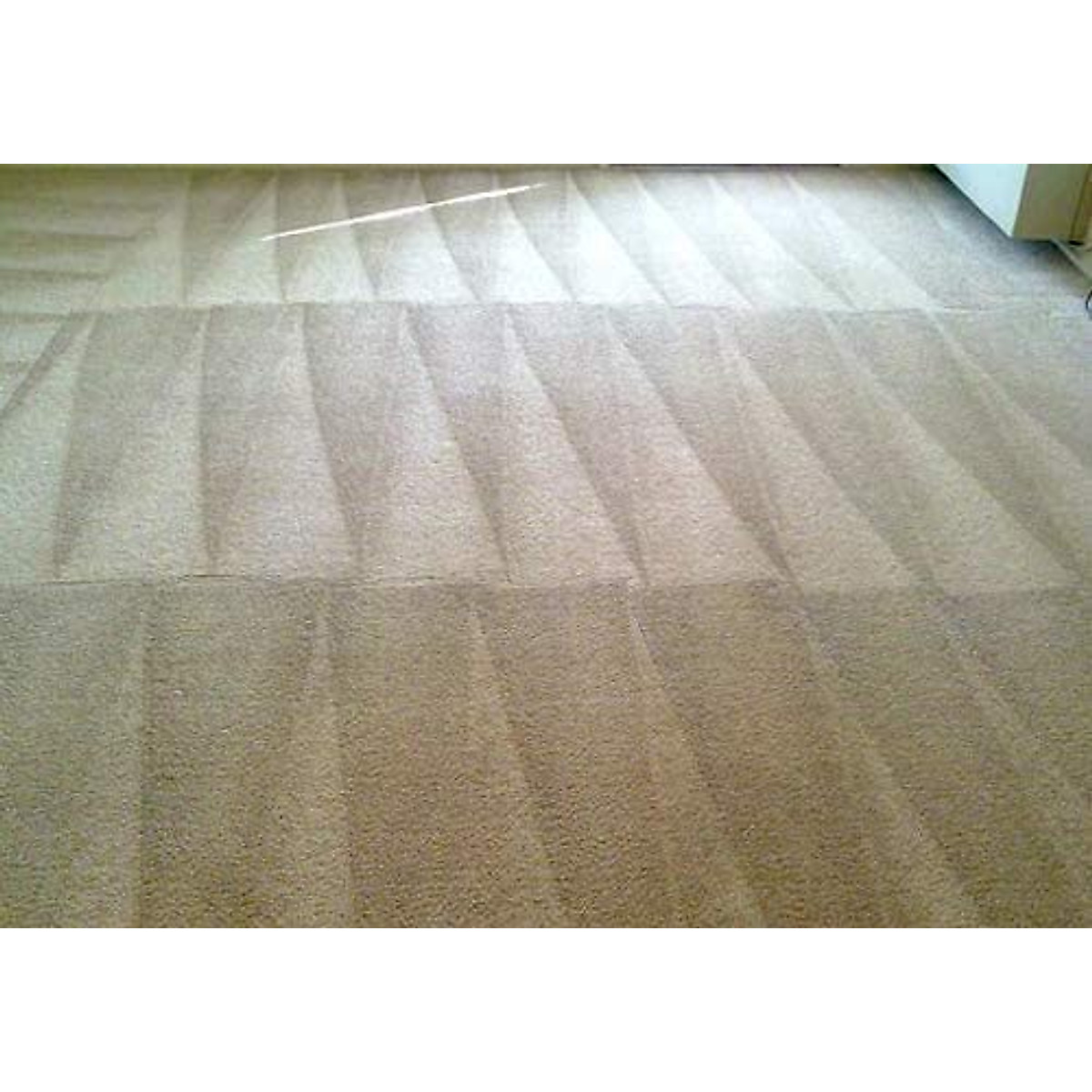 Capture Professional Steam Clean Detergent for All Machines - Home, Car, Dogs & Cats Pet Carpet Cleaner Solution - Strength Odor Eliminator, Stains Spot Remover (1 Gallon)