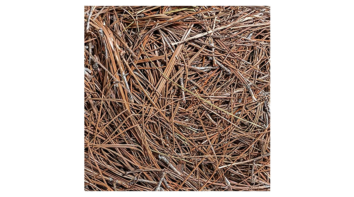 Garden Elements Long Leaf Pine Straw Bale for Mulch & Soil Enrichment
