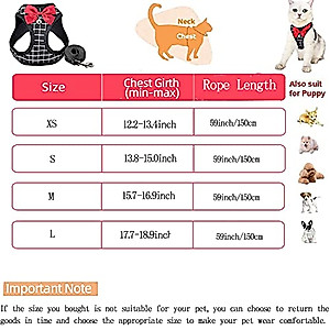 BLUWTE Cat Harness,Cat Harness and Leash, Breathable Dog Harness,Pet Harness,Adjustable Mesh Vest Harness for Puppy Cat Rabbit (Black, S)