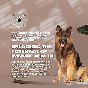 Aniwell Allergy & Immune Support Chews for Dogs – Powered by Astragalus Root & Flaxseed C3 – Promotes Seasonal Allergy Relief, Gut & Digestive Health – Soft Chews