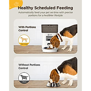 Ciays Automatic Cat Feeders, 4L Cat Food Dispenser Up to 20 Portions 6 Meals Per Day, Pet Dry Food Dispenser with Distribution Alarms for Small Medium Cats Dogs, White