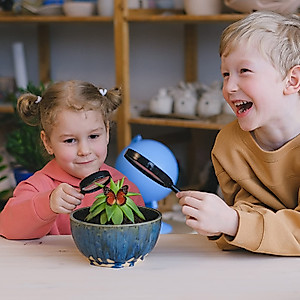 Pokiphip 12 Pcs Taxidermy Butterfly, Real Butterfly Taxidermy Natural Unmounted Butterfly Specimen, Exquisite Collection of Real Butterflies for Home Decor and Crafts