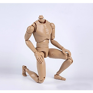 1/6 Scale Narrow Shoulder Male Body Doll Action Figure for TTM18 TTM19 Hot Toys & Human Body Sketch Model