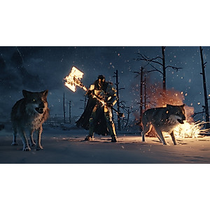 Destiny: The Collection (PS4)