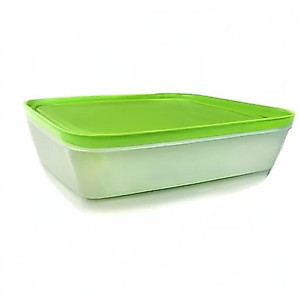 Tupperware A01 Igloo Box 1.0 L White Green 14168