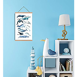 HPNIUB Natural Wood Magnetic Hanger Frame Poster- Shark & Whale Wall Art Print ,Sea Life Canvas Poster,Educational Science Wall Art Painting For Classroom Decor, 28X45cm Frames Hanging Kit