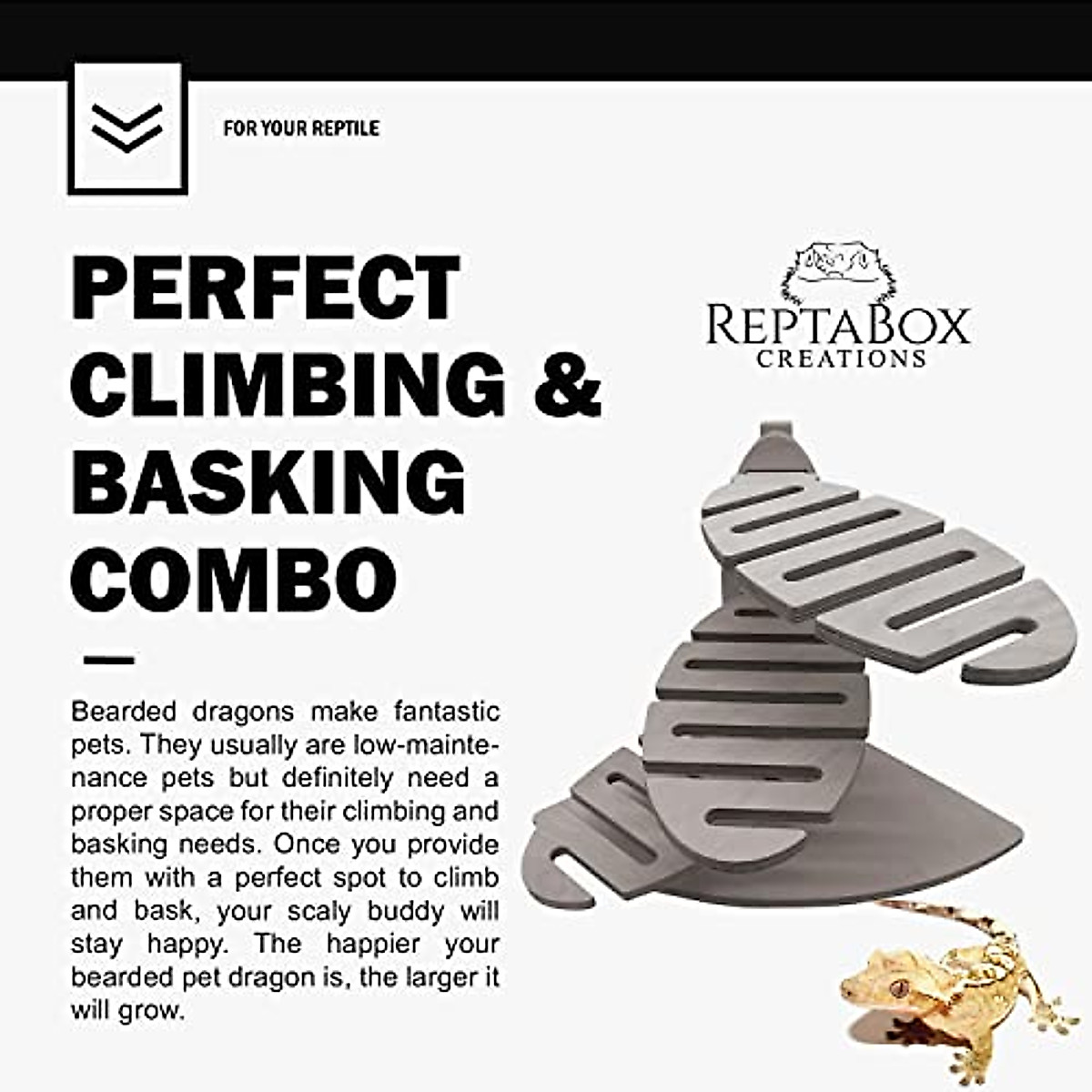 Reptabox Creations Spiral Bearded Dragon Wood Lounge - Perfect Climbing & Basking Perch for Bearded Dragons Uromastyx and Gecko | Ideal Bearded Dragon Tank Accessory (15" x 13" 11")