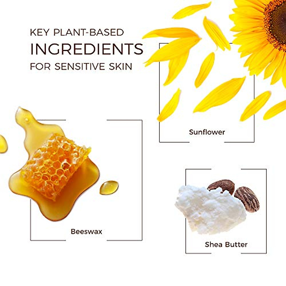 Babo Botanicals 70+% Organic Tinted Mineral Lip Conditioner SPF 15, Water-Resistant Lip Balm, Wild Rose - 0.15 oz.