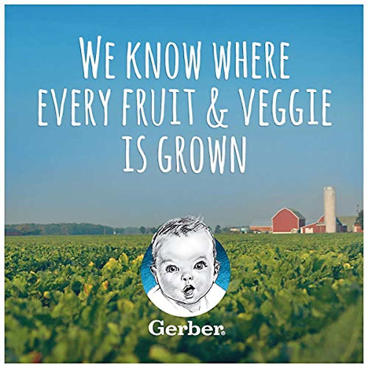 Gerber My 1st Fruits and Veggies Stage 1 Baby Food Starter Pack Bundle, 2 items, 2 Ounce Tubs, (12 Tubs Total)