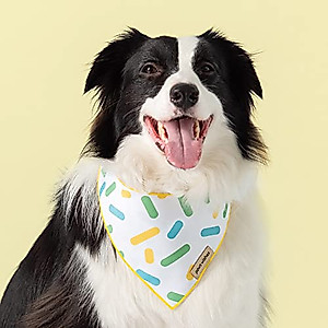 Paws Wishes Dog Bandana 2 Pack, Lemon Fruit and Candy Set Lemon Festival, Pet Friendly Design, Hair and Water Resistant, Adjustable Dog Scarf for Small Boy Girl Dog