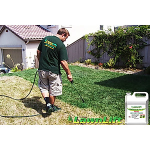 1 gallon pre-mixed, ready to use lawn paint. Includes trigger sprayer and 35" hose for easier application.