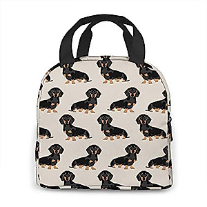 Doxie Dachshund Weiner Dog Lunch Bag For Women Insulated Lunch Box Reusable Cooler Tote Bag For Work Picnic Travel
