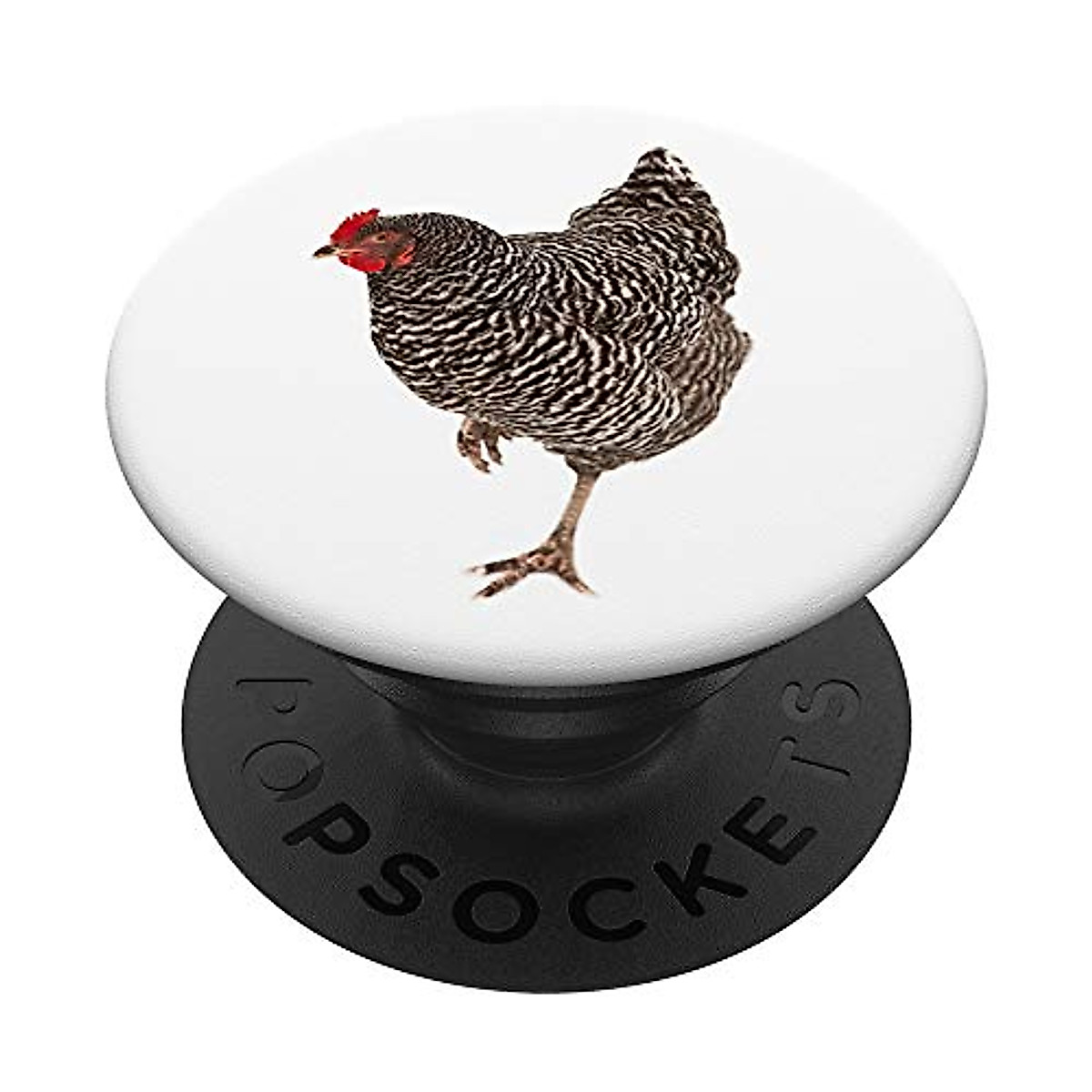 Barred Rock Chicken PopSockets PopGrip: Swappable Grip for Phones & Tablets