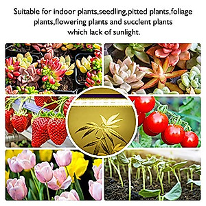 Mosthink LED Plant Grow Light Strips, Full Spectrum for Indoor Plants with Auto ON & Off Timer,10 Dimmable Levels, 36W Sunlike Grow Lamp for Seedlings Hydroponics,3 Pack (16 Inches)