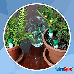 HydroSpike HS-300 (3-Pack) Worry-Free Automatic Plant Watering Devices Kit. Self Auto Waterer Spikes, Bulbs, Stakes Irrigation System for Indoor House Plants, Vacation. No Glass Globe Bottle, Jug, Can