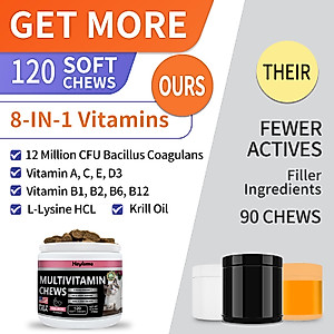 HEYISME Lysine Supplement for Cats, Cat Treats for Sneezing and Runny Nose, Cat Cold, Cat Immune Support, Eye Function, and Respiratory Health, L-Lysine Cat Vitamins for Cats (Salmon, 120 Chews)