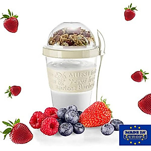 DGRS MARKET 4 Pack 20 oz Breakfast Cereal On the Go Cups with Spoon- Portable Take'n Go Yogurt and Cereal Container Cup with Top Lids- Take and Go Yogurt- Milk- Snack- Fruit Cup for Travel (4- Mix)