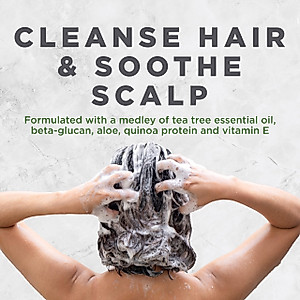 Avalon Organics Scalp Treatment Tea Tree Shampoo, Encourages Scalp Well-Being and Leaves Hair Soft, 32 Fluid Ounces