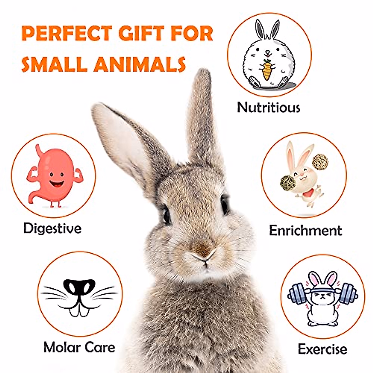 Sofier Rabbit Toys Bunny Toys Guinea Pig Toys Natural Timothy Hay Sticks Hamster Toys for Teeth Handmade Rabbit Chews and Treats Apple Wood Sticks Chinchilla Rat