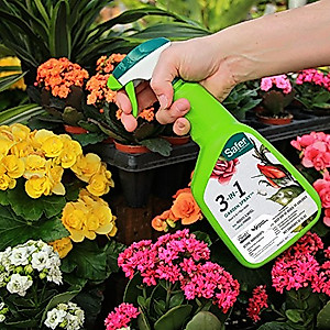 Safer Brand 5452 3-in-1 32-Ounce Ready-to-Use Garden Spray - 5452-6