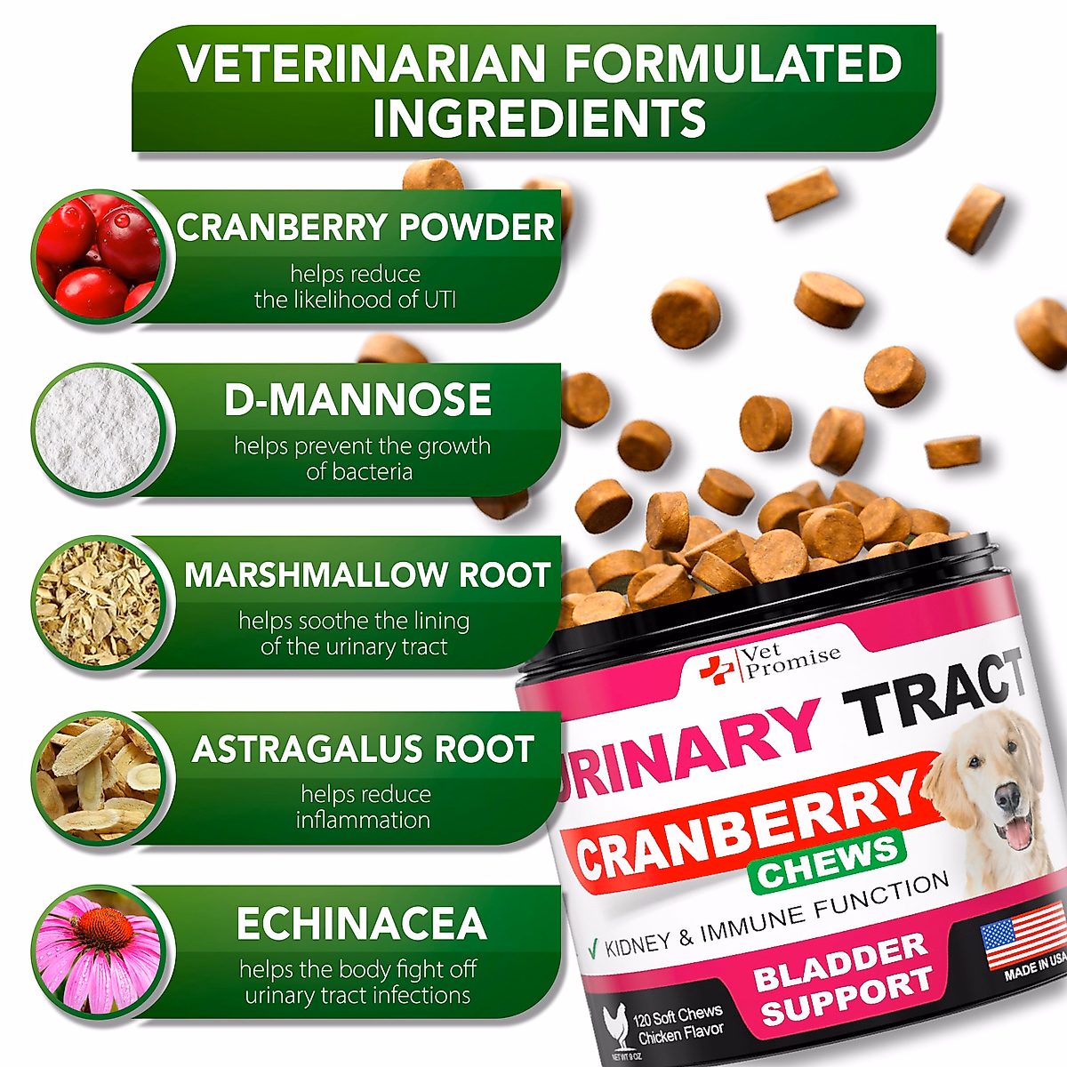 Dog UTI Treatment - Cranberry Supplement for Dogs UTI - Bladder Control for Dogs - Dog Urinary Tract Infection Treatment - UTI Medicine for Dogs - Dog Cranberry Supplement Vitamins Multivitamin Chews