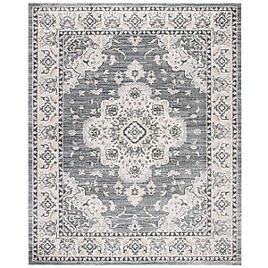 SAFAVIEH Isabella Collection Area Rug - 9' x 12', Grey & Light Grey, Oriental Design, Non-Shedding & Easy Care, Ideal for High Traffic Areas in Living Room, Bedroom (ISA921F)