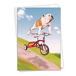 NobleWorks - 1 Adorable Birthday Card Funny - Pet Dog Animal Humor, Bday Notecard with Envelope - Dog on Trike C3204BDG