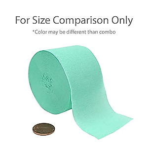 NPI Crepe Paper Party Garland Streamers - 81 Feet Length x 1.75 Inch Width (6-Count, Pastel Rainbow Combo) 1.0 Count