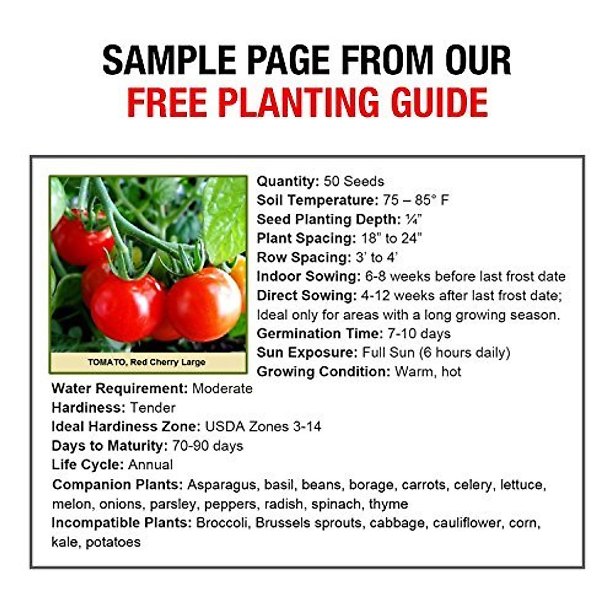 Heirloom Vegetable Seeds Non GMO Survival Seed Kit - Part of Our Legacy and Heritage - 50 Varieties 100% Naturally Grown- Best for Gardeners Who Raise Their Own Healthy Food