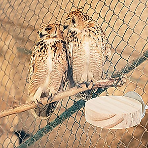 cabilock Climbing Toys 3pcs Bird Wood Platform Parrot Perch Stand Playground Cage Corner Shelf Board for Conures Budgies Hamster Gerbil Rat 5. 5cm Round Bird Cage