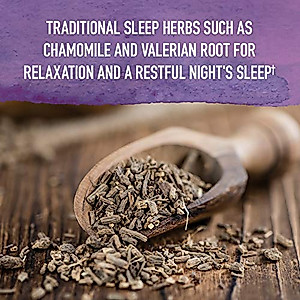 Garden of Life Elderberry Zinc Immune Support for Adults and Kids 12 and Older with Vitamin C - mykind Organics Elderberry & Sleep Immune Syrup Liquid with Sleep Herbs, No Added Sugars, 6.59 fl oz