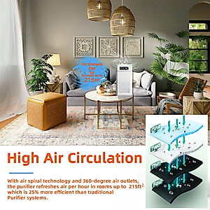 2 Pack Air Purifiers for Bedroom HEPA Air Purifier With Aromatherapy Function For Pet Smoke Pollen Dander Hair 20dB Air Cleaner For Office Living Room/Kitchen