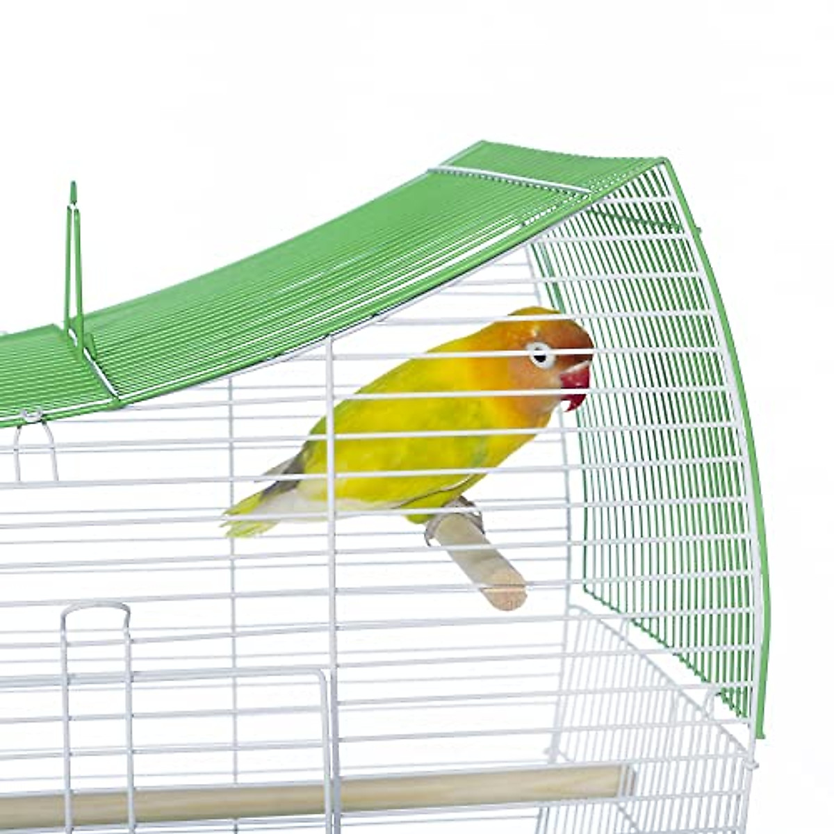 Prevue Pet Products South Beach Wave Top Bird Cage, Lime Green (SP50081)