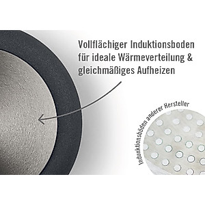 Woll Eco Lite Cast Iron High Rim Frying Pans, Induction Size Diameter 28 cm