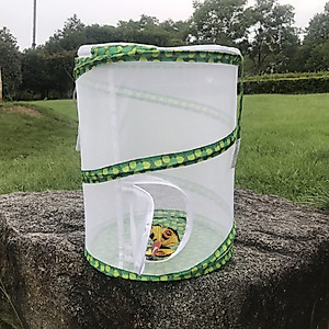 Wisexplorer Butterfly and Insect Garden Habitat Mesh Cage Collapsible Design, Bug Terrarium Pop Up 12" x 14" Tall