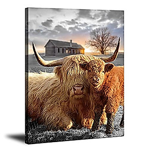 Highland Cow Canvas Wall Art Animal Print Pictures Highland Fluffy Cattle Photo Framed Farmhouse Painting 12x16 inches for Home Decor