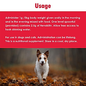 Renakitin Kidney Supplements for Dogs Cats - Contains Chitosan & Calcium Carbonate, Support Optimal Kidney Function, Great Tasting Chicken Flavor, 6.3 oz