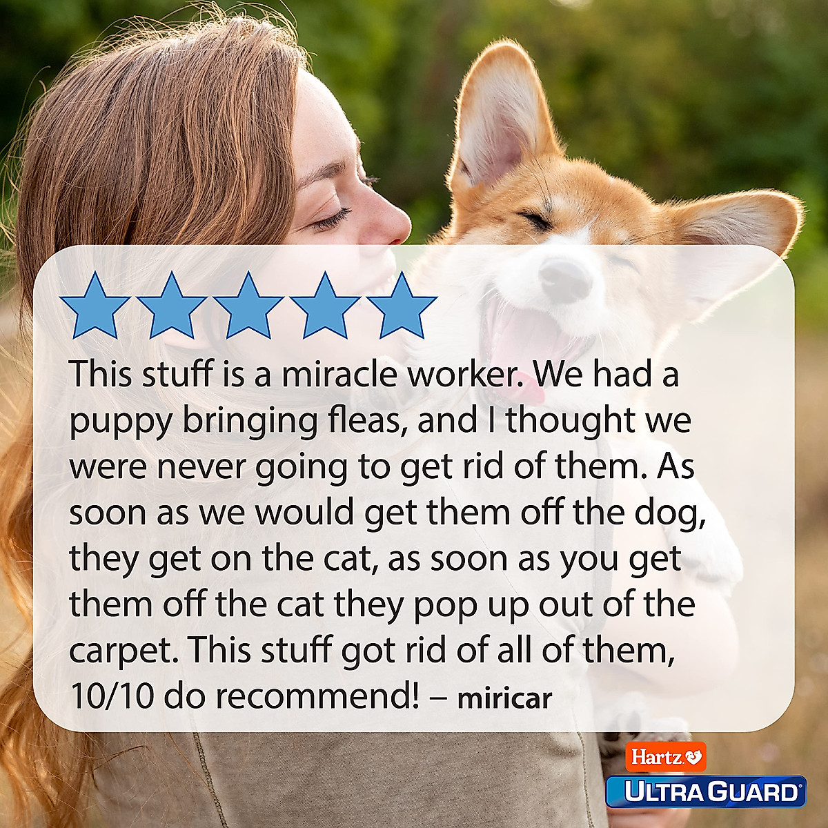 Hartz UltraGuard Plus Flea & Tick Home Spray, Kills Fleas and Ticks, Clean Fresh Scent, 16 Ounce