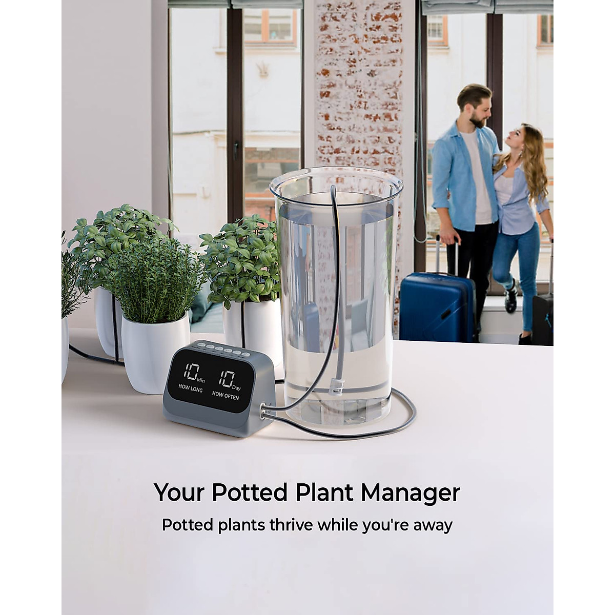 Automatic Watering System for Potted Plants, Plant Waterer with Smart Programmable Timer, Waterproof LED Display & Large Capacity Battery, Precise Distribution of Water, Gray