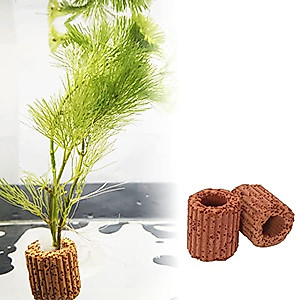 DGHAOP 10pcs Water Plants Cultivation Fixed Ring Base 25mm Aquatic Water Plant Fixed Ring for Aquarium Landscape Ceramic Plant Pot