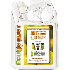EcoRaider Ant & Crawling Insect Killer (32 OZ), 100% Fast Kills, Also Kills Fire Ants. Lasting Repellency, Safe for Children & Pets