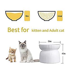 GOCESS Cat Food Bowls,Elevated-Cat Bowls for Food and Water,Ceramic Raised Cat Bowls for Indoor Cats and Small Dogs,Cat Dishes Set of 2,White
