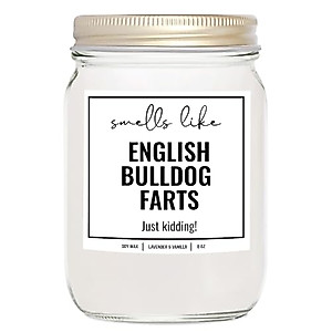 YouNique Designs Smells Like English Bulldog Farts Candle 8 oz - English Bulldog Gifts for Bulldog Lovers - Bulldog Lover Gifts Dog Farts Candle - Funny Bulldog Themed Gifts (Lavender & Vanilla)