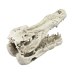 Alligator Reptile Amphibian Skull Habitat Hide – Premium Non-Toxic Resin for Aquariums & Terrariums – Large Size