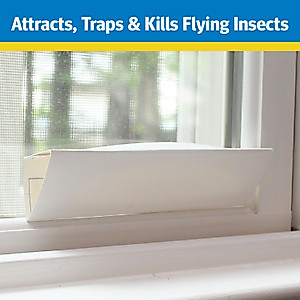 Raid, 12 Pack, Discreet Window Fly Trap