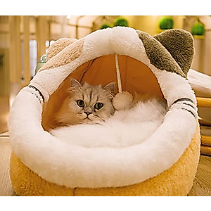 Qucey Cat Beds for Indoor Cats, Cat Cave Bed Cat Tent House Cat Hut with Rovemable Washable Cushioned Pillow, Kitten Beds, Small Dog Bed