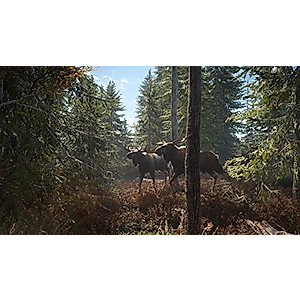 theHunter: Call of the Wild - Xbox One